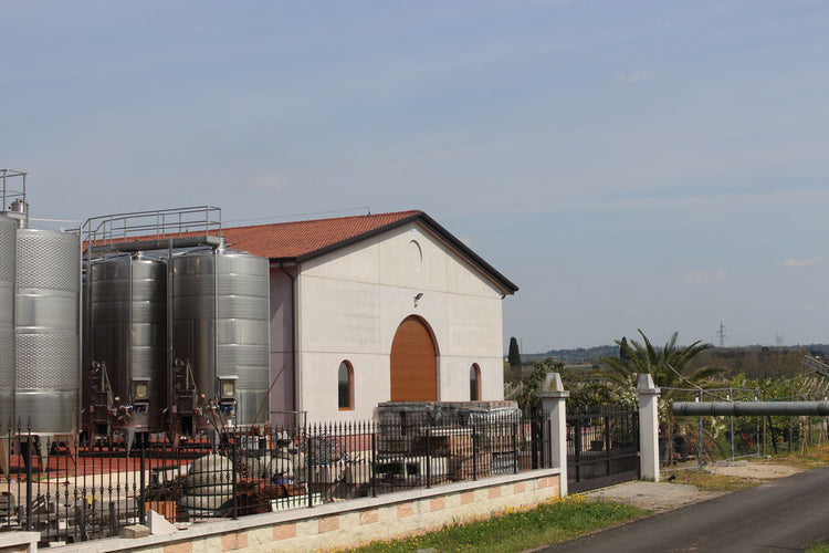 F.lli Vincenzi Winery - Vincenzi Cola - Weinschmeckeria